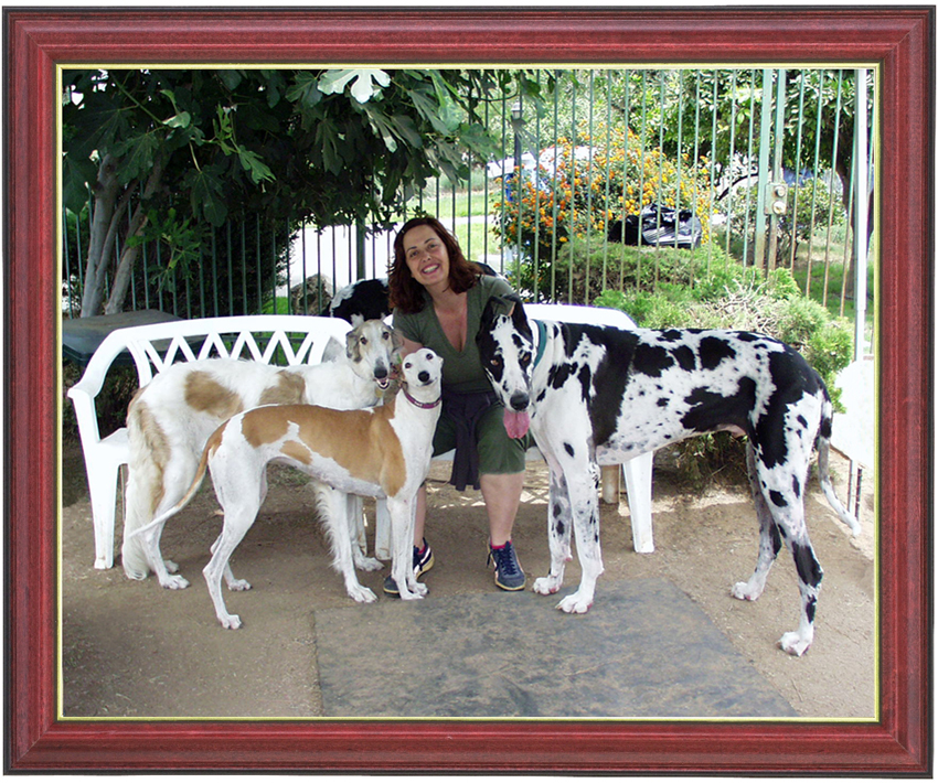 Gentle Giants Rescue and Adoptions